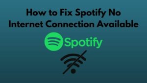 How to Fix Spotify No Internet Connection [Tested Fix 2024]