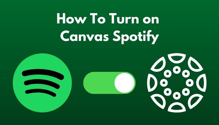 How To Turn On Canvas Spotify Beginners Guide 2023 