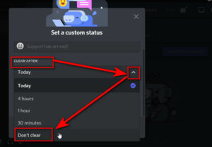 Fix Discord Custom Status Not Showing [Proven Methods]