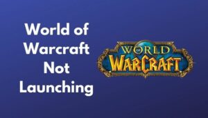 World of Warcraft Not Launching: 5 Working Solutions [2024]