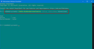 How To Enable Telnet On Windows 11 [Tested Methods]