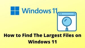 How to Find The Largest Files on Windows 11 | Proven Methods