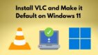 Install VLC and Make it Default on Windows 11 [Definitive Guide]