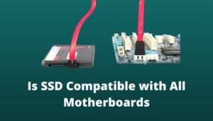 Is SSD Compatible with All Motherboards? Read to Find Out [2024]