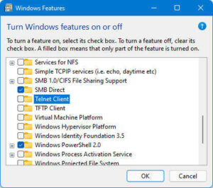 How To Enable Telnet On Windows 11 [Tested Methods]