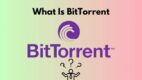 Differences Between Magnet and Torrent [Explained 2024]