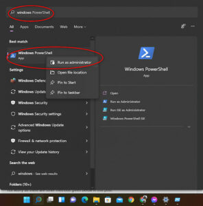 Error 0x00000001 in Game Pass on Windows 11 [2024 Fix]