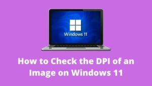 How to Check the DPI of an Image on Windows 11 [2024 Guide]