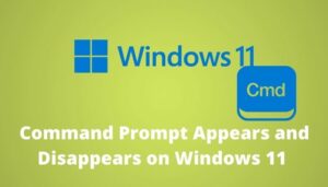 Command Prompt Appears and Disappears on Windows 11