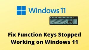 Fix Function Keys Stopped Working on Windows 11 [2024]