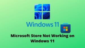 Microsoft Store Not Working on Windows 11 [Proven Fix 2024]