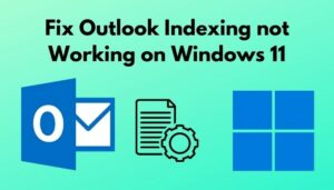 Fix Outlook Indexing not Working on Windows 11 [Tested 2024]