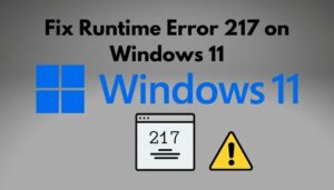 Fix Runtime Error 217 on Windows 11 [Proven Techniques 2024]
