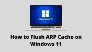 How to Flush ARP Cache on Windows 11 | Proper Guide [2024]