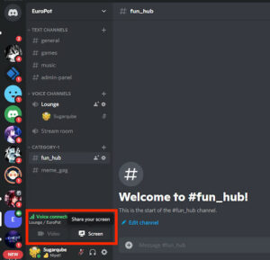 Discord Stream not Loading | 5 Easy Fixes [2024]