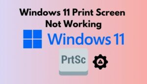 Windows 11 Print Screen Not Working [Proven Solution 2024]
