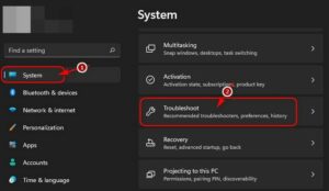 Fix Function Keys Stopped Working on Windows 11 [2024]