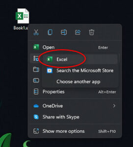 Excel Documents Open in Notepad on Windows 11 [2024 Fix]