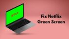 How to Fix Netflix Green Screen [2024 Guide]
