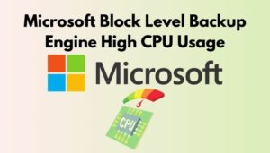 Fix Microsoft Block Level Backup Engine High CPU Usage