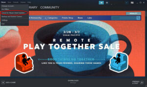 SteamVR not Recognizing Oculus Quest 2 [2024 Fix]