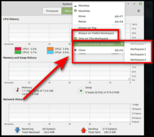 How to Configure Linux Mint Workspaces [Quick Guide 2024]