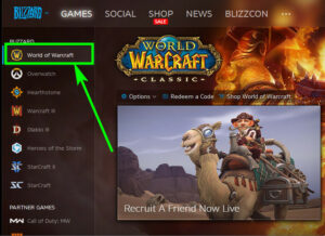 Fix WoW Error 132 Fatal Exception [For Beginners 2022]