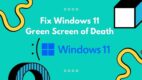 Fix Windows 11 Green Screen of Death [8 Easiest Methods ’24]