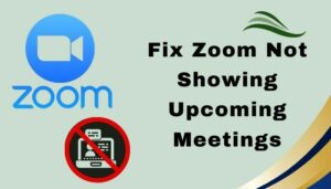 Fix Zoom Not Showing Upcoming Meetings [2024 Solution]