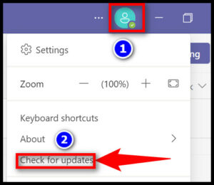 Fix Microsoft Teams Can’t See Shared Screen on PC [2024]