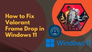 How to Fix Valorant FPS Drop in Windows 11 [Methods 2024]