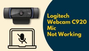 Logitech Webcam C920 Mic Not Working [Tested Fixes 2024]