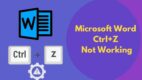 Microsoft Word Ctrl+Z not Working [100% Working Fixes 2024]