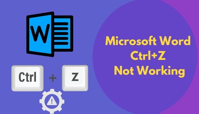 Microsoft Word Ctrl Z Not Working 100 Working Fixes 2024 