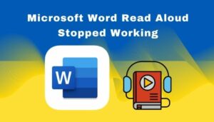 [Solved] Microsoft Word Read Aloud Stopped Working (2024)