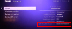 Roku: Locate MAC Address [Wired and Wireless Guide 2024]
