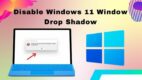 Disable Windows 11 Window Drop Shadow [Easy Guide 2024]