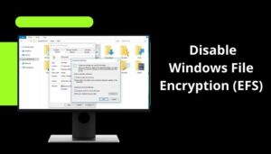 5 Quick Ways to Disable Windows File Encryption (EFS) [2024]