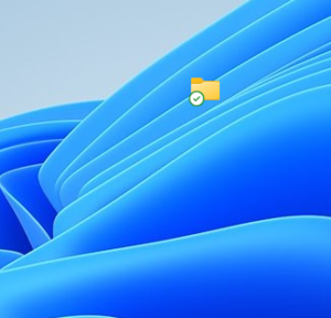 Create Invisible Folders in Windows 11 [3Ways to Hide Files]