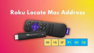 Roku: Locate MAC Address [Wired and Wireless Guide 2024]
