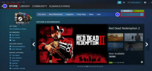 How to Download & Install Steam on Windows 11 [Guide 2024]