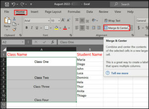 How to Unmerge Cells in Microsoft Excel [2 Quick Tips 2024]
