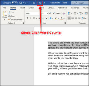 How to Check Word & Character Count in Microsoft Word [2024]