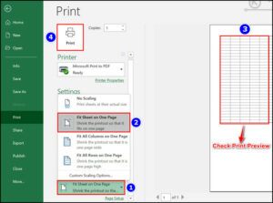 How to Print Excel With Lines [Super Quick & Easy Ways 2024]