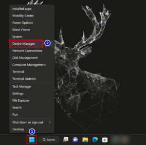 Fix Nvidia Graphics Card Not Detected in Windows 11 [Tested]