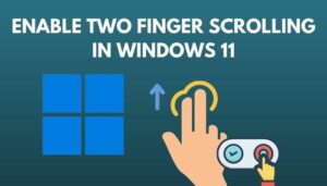 Enable Two Finger Scrolling in Windows 11 [Guideline 2024]