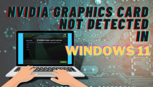 Fix Nvidia Graphics Card Not Detected in Windows 11 [Tested]