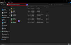 Open Internet Explorer in Windows 10 [2024 Launching Guide]
