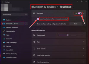 Two Finger Scroll Not Working in Windows 11 [Fixed 2024]