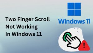 Two Finger Scroll Not Working in Windows 11 [Fixed 2024]